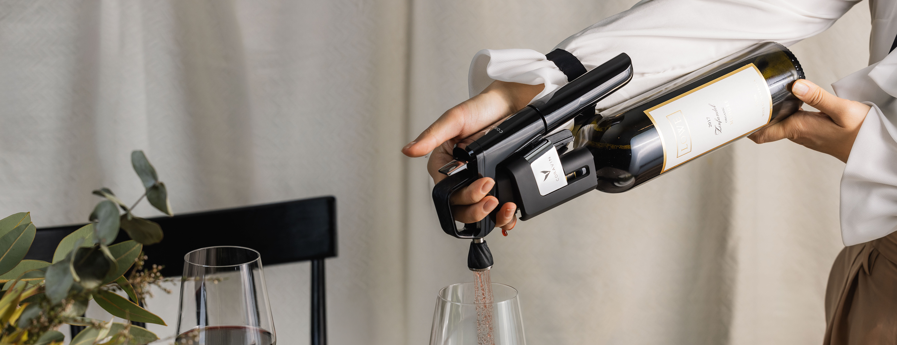 Weinbildung und Erhaltungssysteme | Coravin Deutschland – Coravin EU